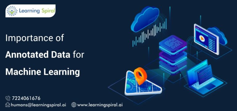 Data Labeling Services for Image Annotation