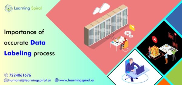 Importance of accurate Data Labeling process