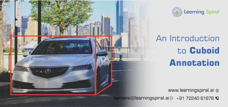 An Introduction to Cuboid Annotation | Learning Spiral AI