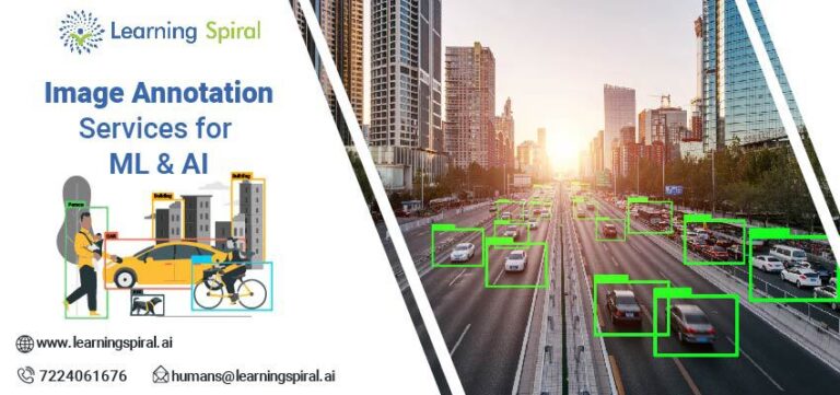 Image Annotation Services for Machine Learning & AI