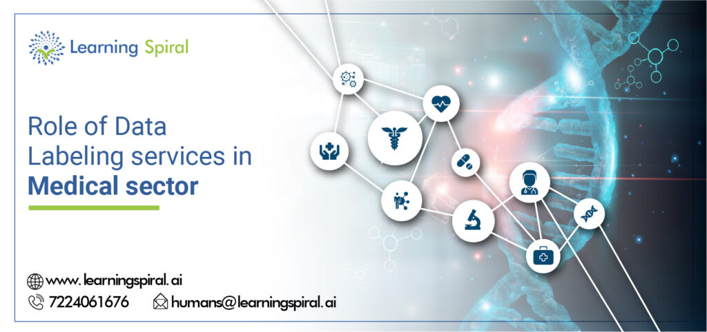 Role of Data Labeling Services in the Medical Sector
