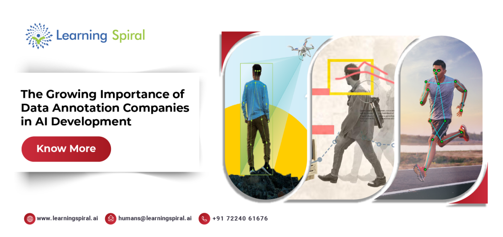 Importance of Data Annotation Companies in AI Development