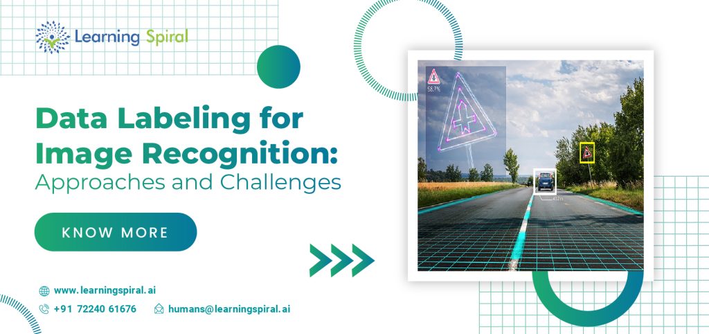 Data_Labeling_for_Image_Recognition-01 | Learning Spiral AI