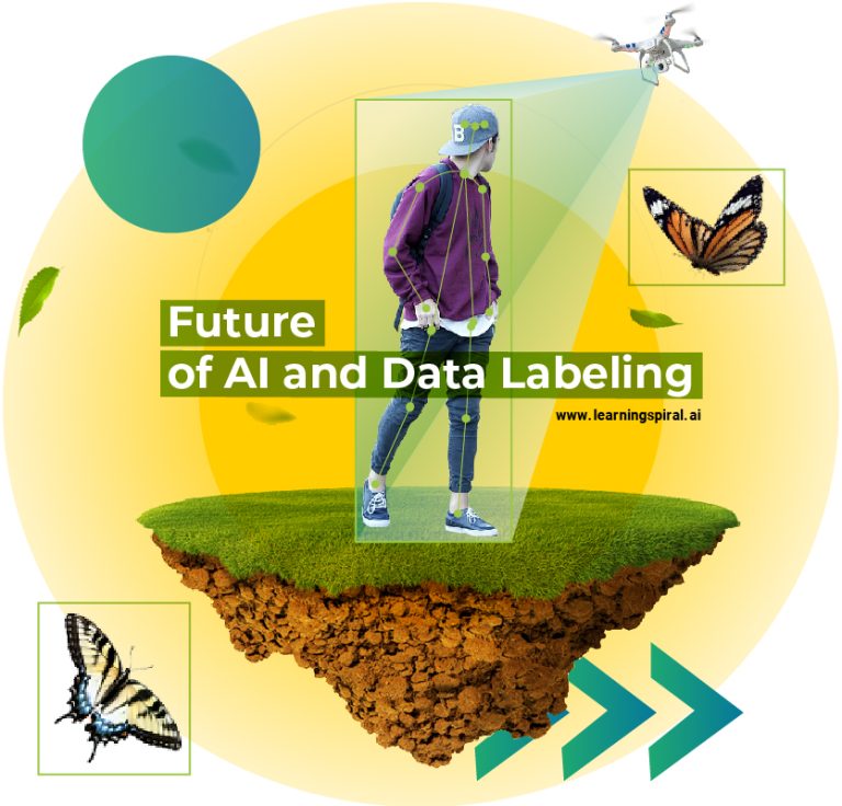 Advancements in AI Data Labeling | Data Annotation Company
