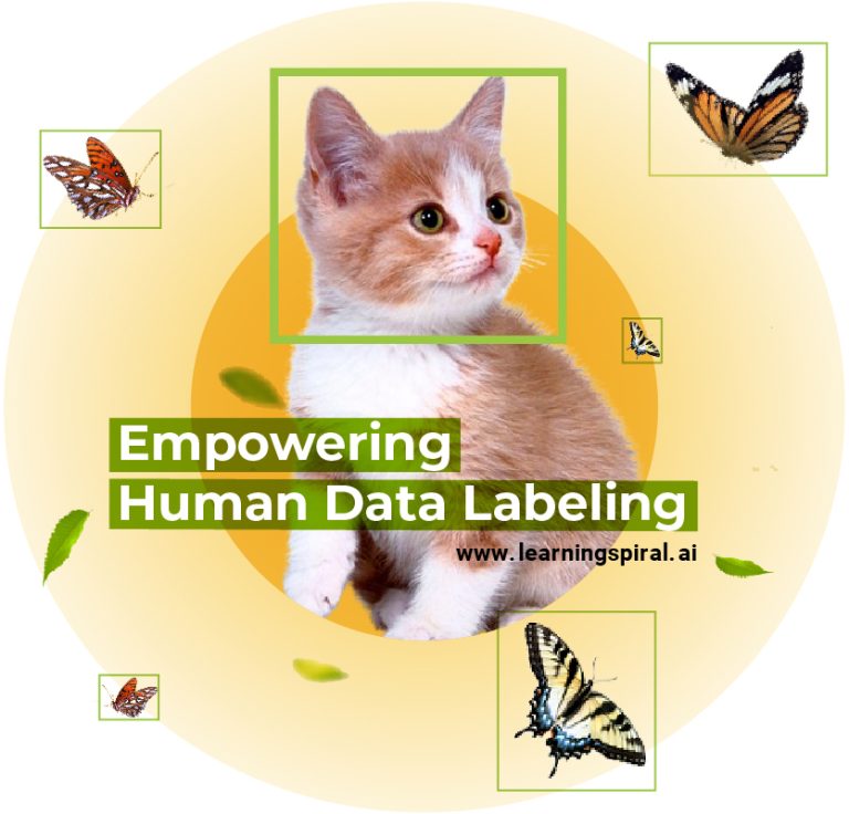 Data Labeling Companies in India | Data Annotation Company