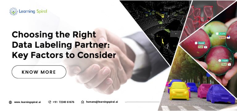 Data Labeling Company | Data Annotation Company