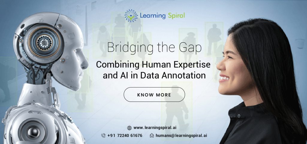Bridging the Gap: Combining Human Expertise and AI in Data Annotation ...