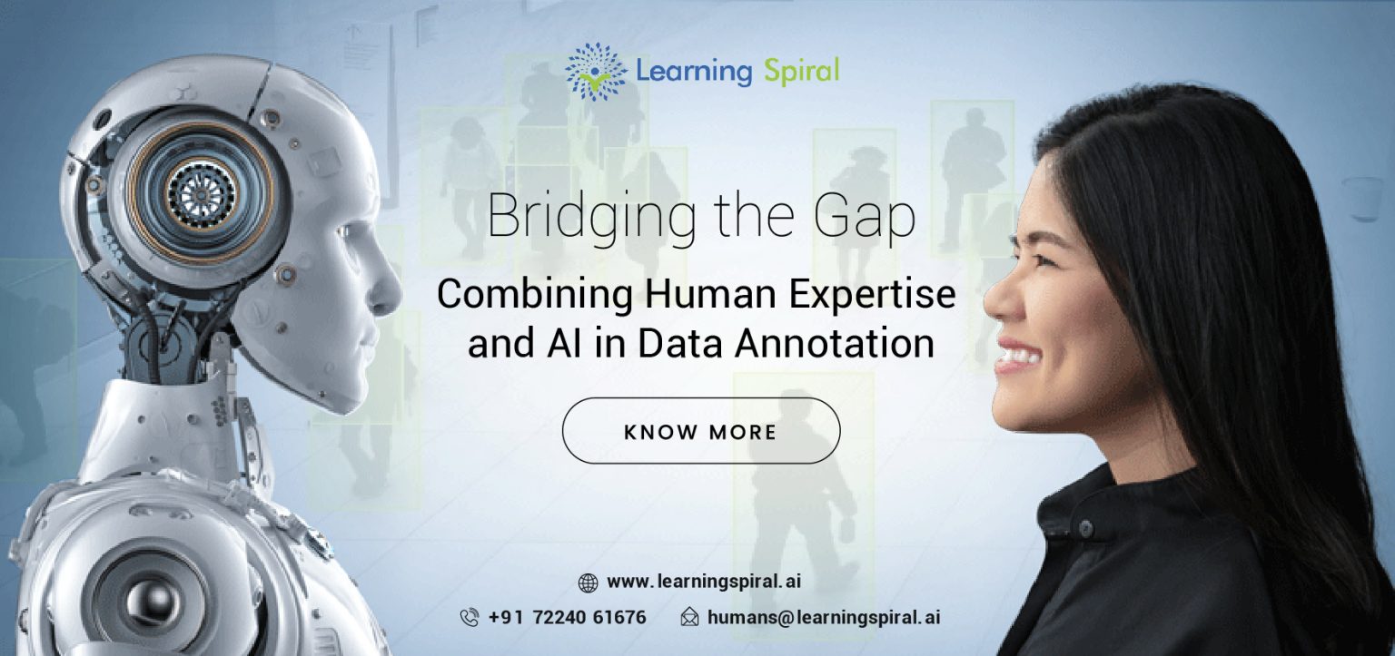 Bridging the Gap: Combining Human Expertise and AI in Data Annotation ...