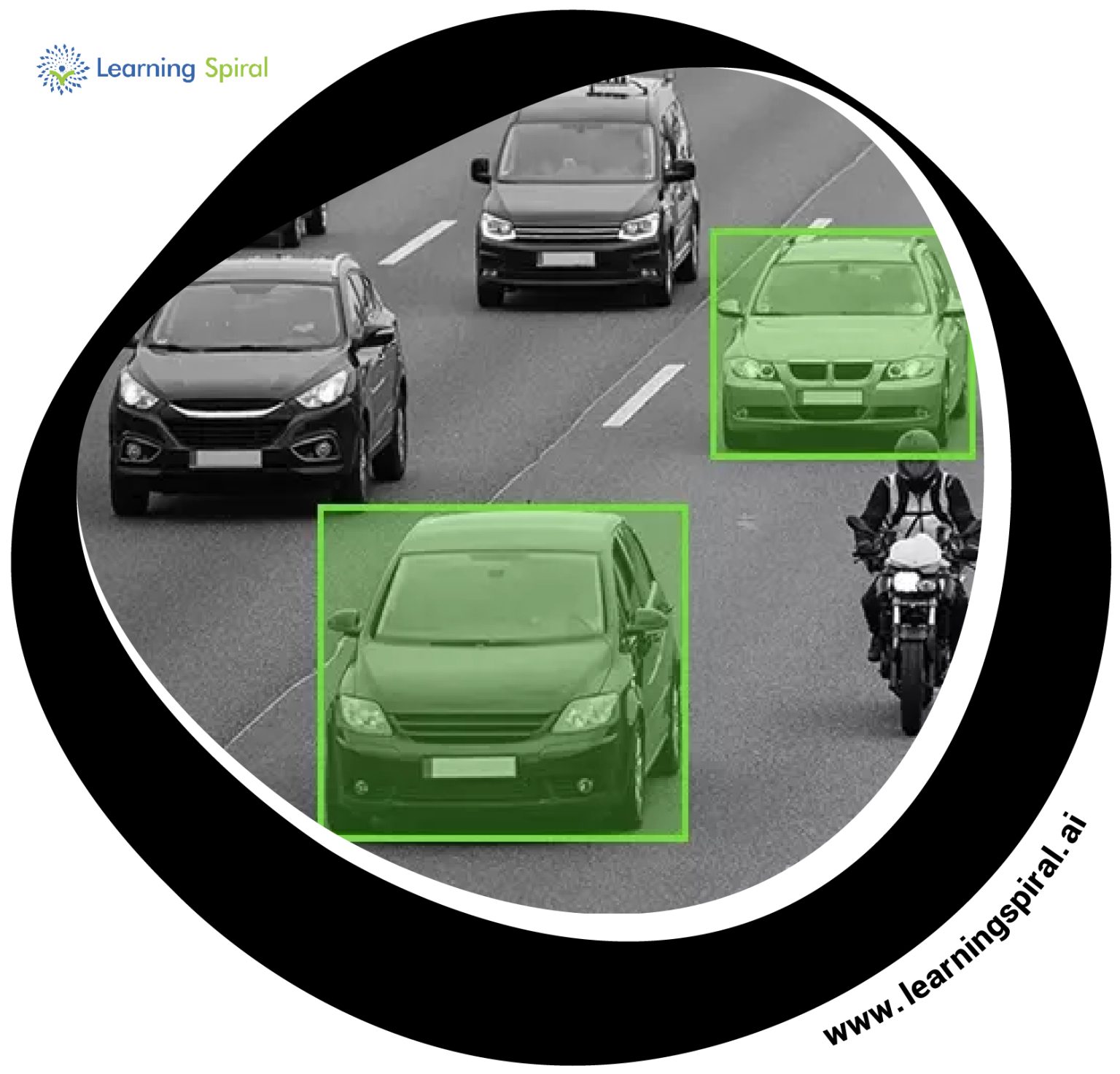 "Human Expertise: The Key Role in Data Annotation"