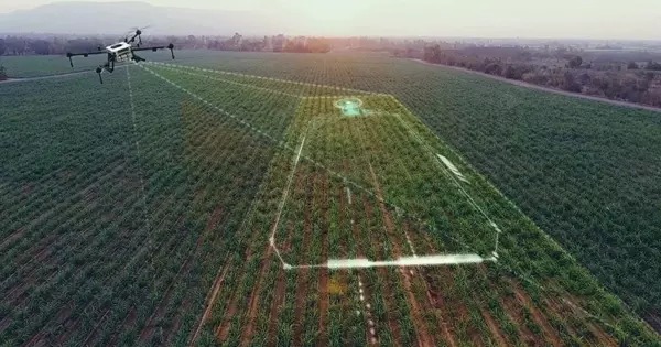 Lidar Annotation | Learning Spiral AI